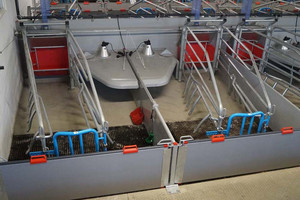 Farrowing pens or farrowing crates - Traditional and for loose sows
