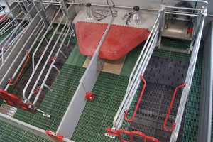 Farrowing pens or farrowing crates - Traditional and for loose sows