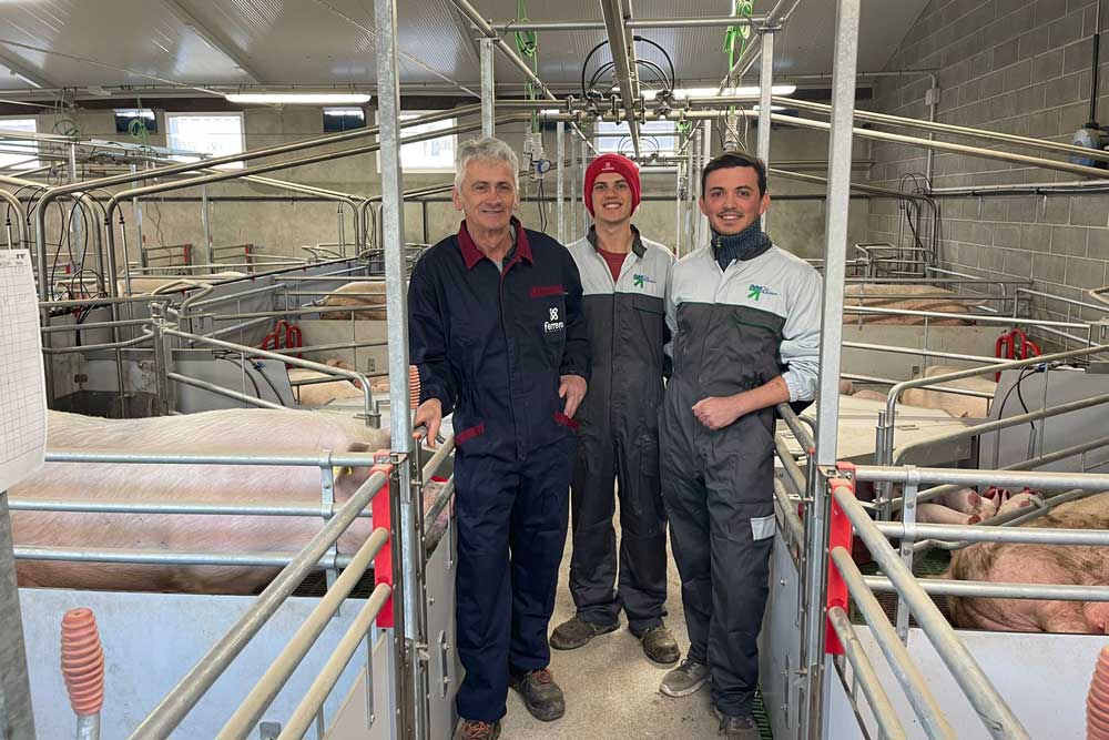 Pig Breeding Solutions with Focus on Animal Comfort and Innovation