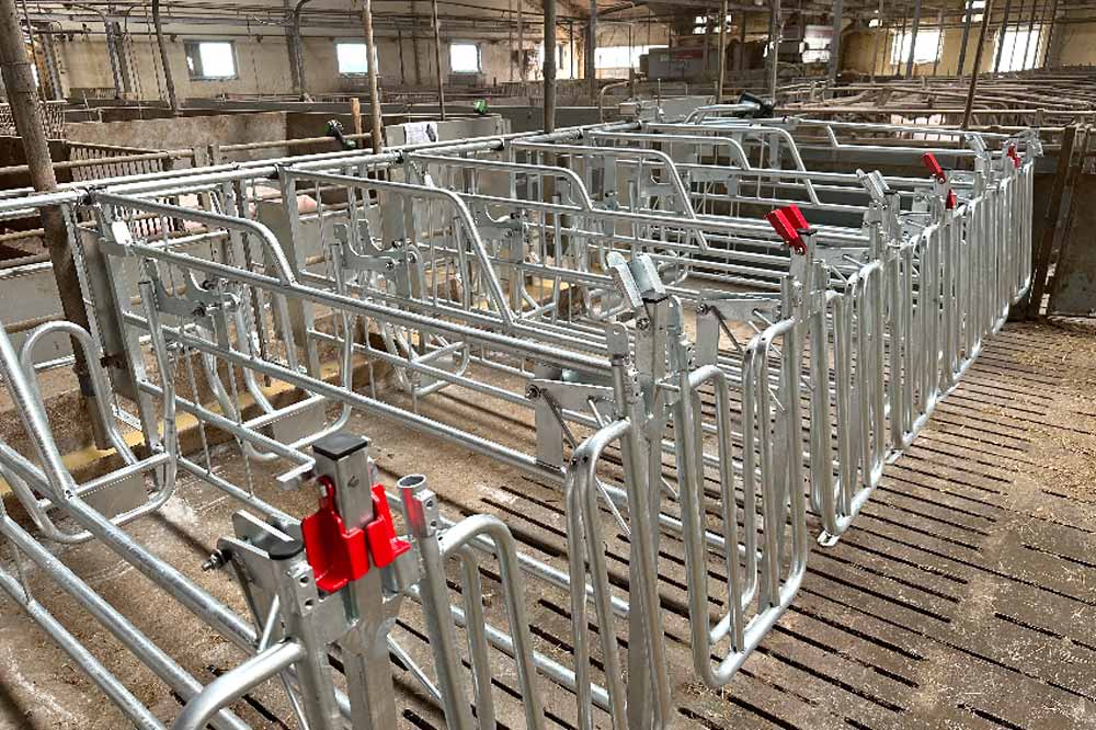 Mating and Gestation (MAG) box for better sows welfare
