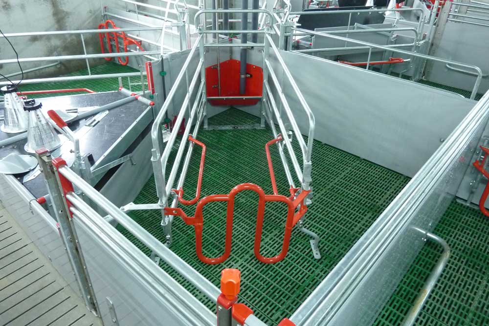 Welsafe Farrowing pen for loose sows - Animal Welfare