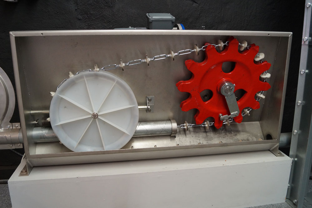 Feed transport system for pigs