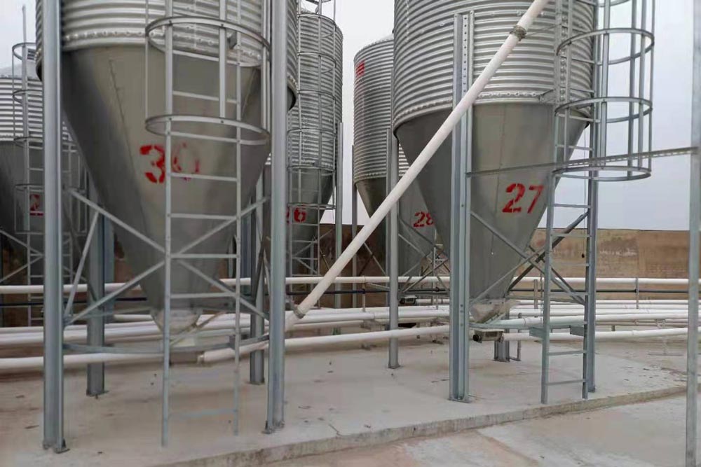 Dry Feeding for all types of pigs | Feeders for pigs | intelligent sow ...