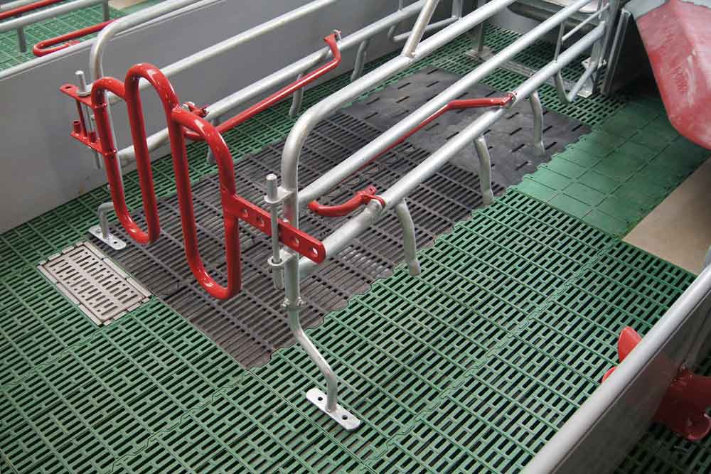 Combination of plastic and cast iron slats for farrowing pens